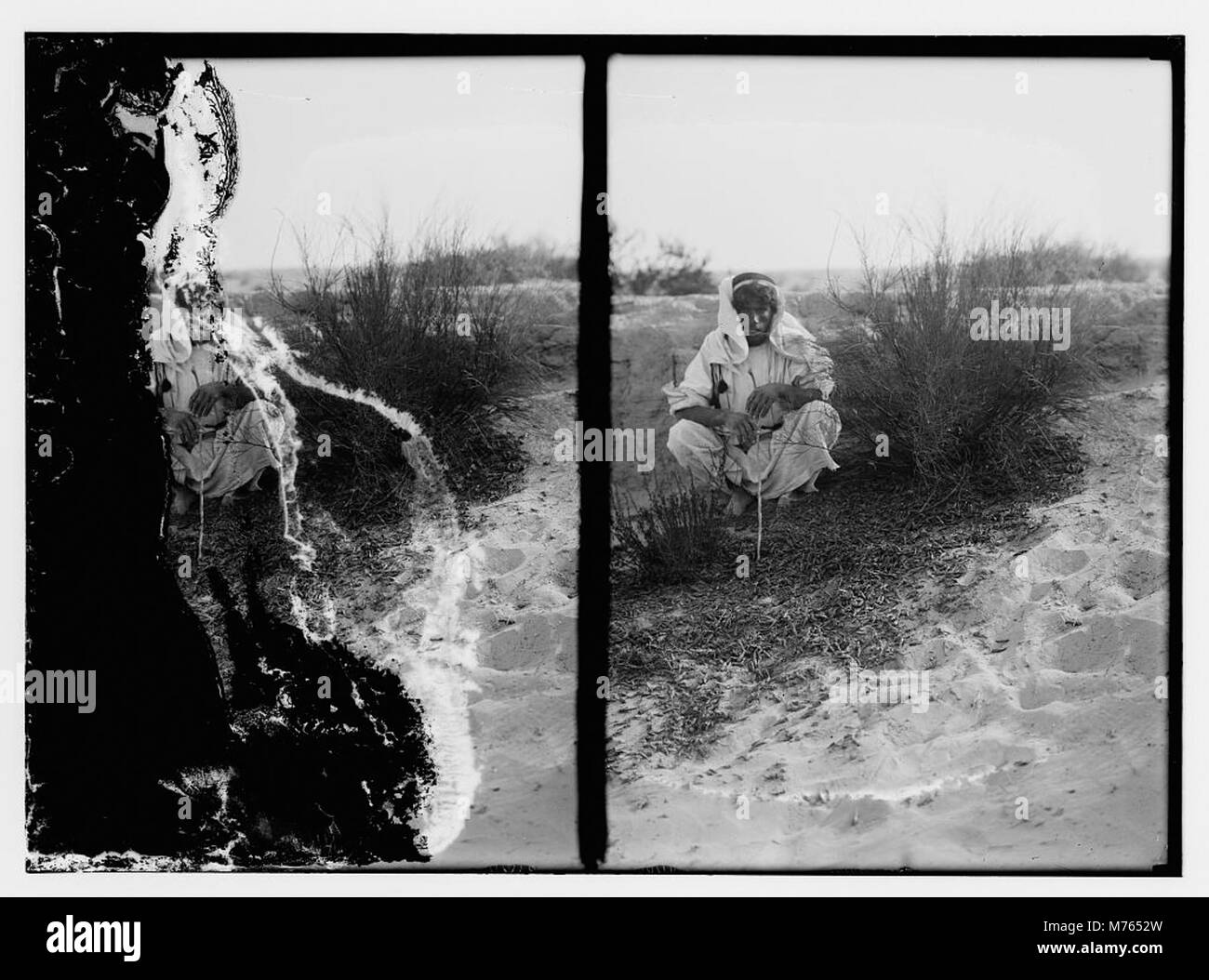 Image depicting the locust plague, showing workers dealing with the ...