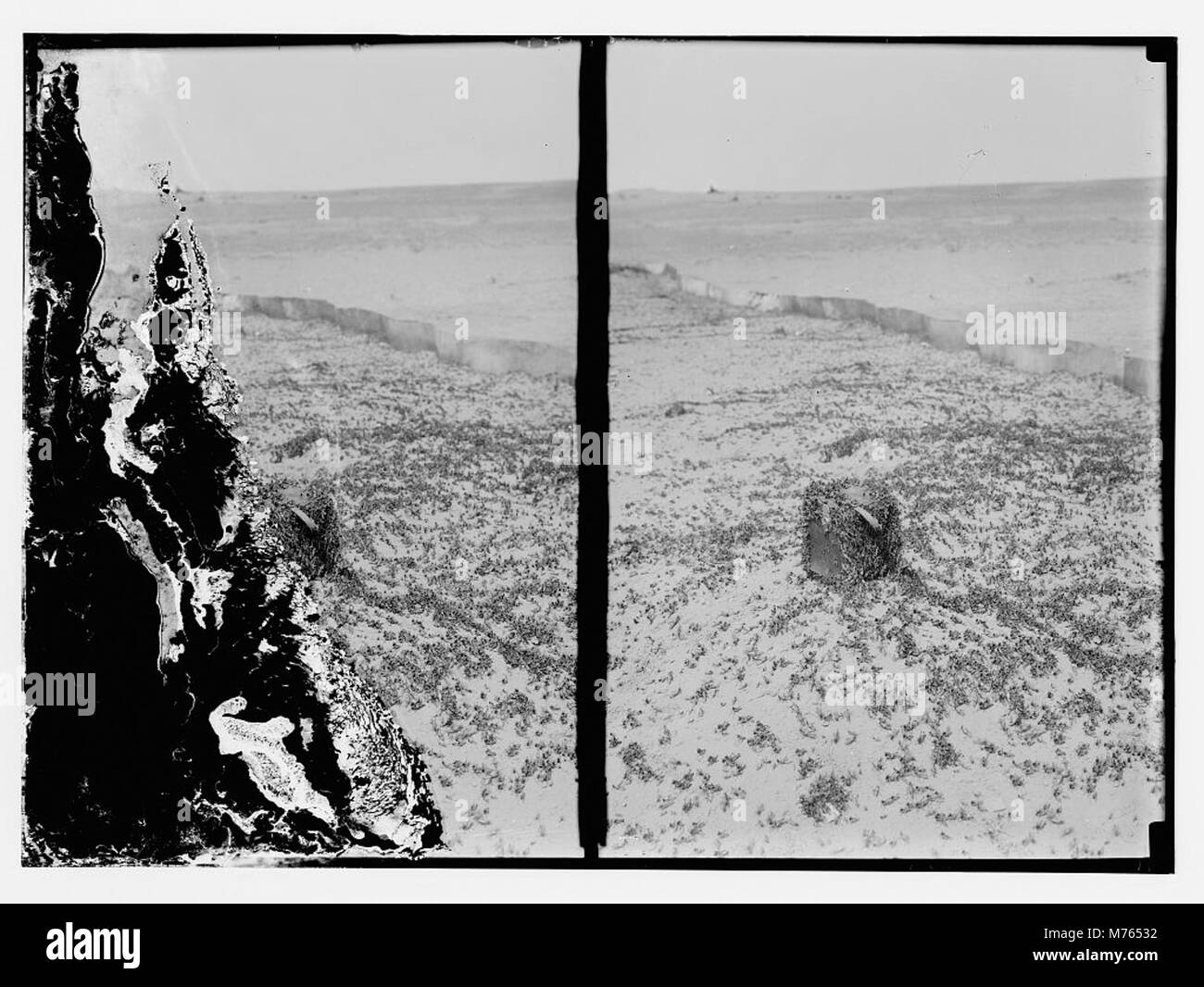 The locust plague shown in this image depicts the widespread ...