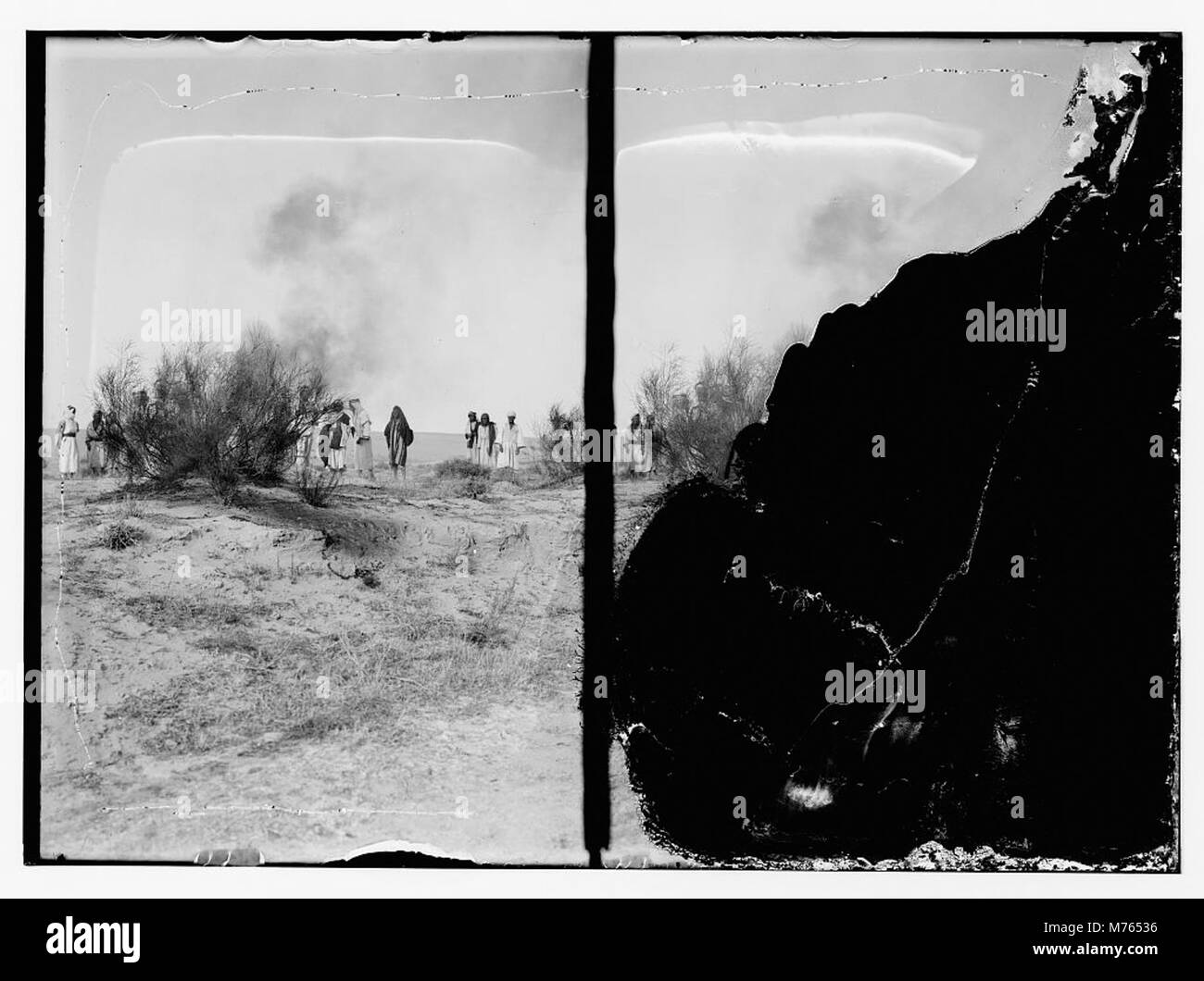 An image of a locust plague, depicting the destructive swarms that ...