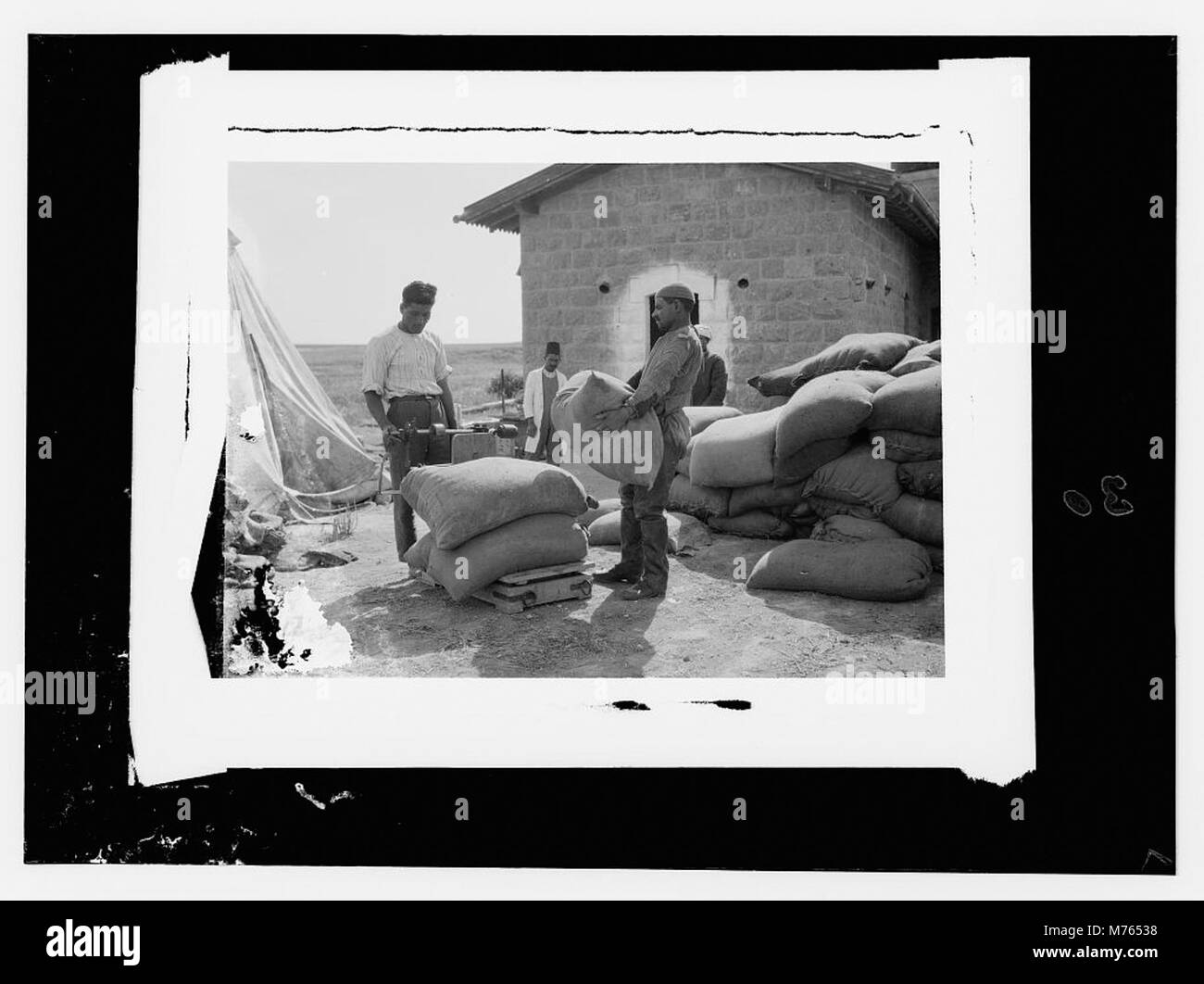 Photograph depicting a locust plague, showing vast swarms of locusts ...