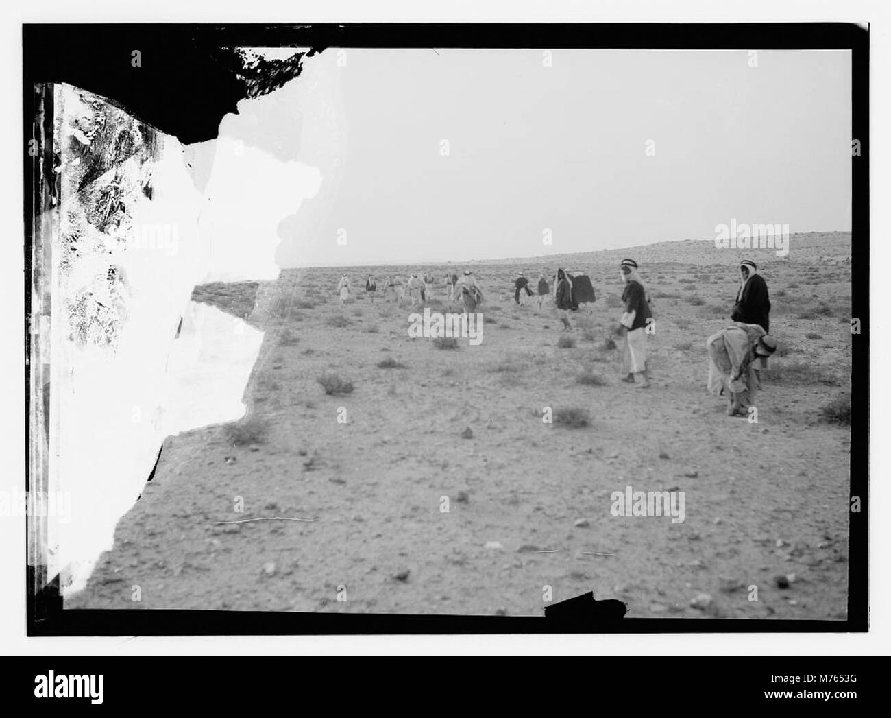 The locust plague, depicted in this historical image, shows the ...