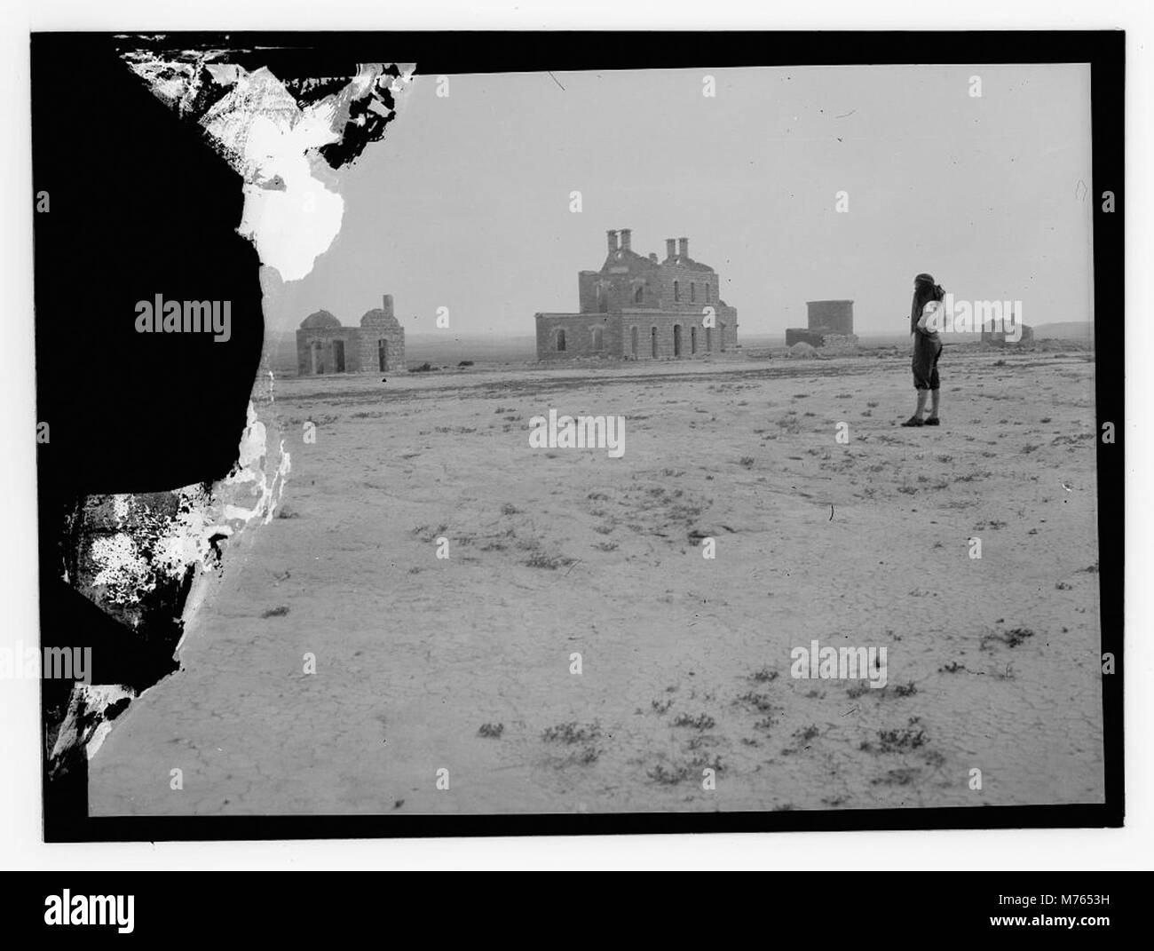 This photograph shows the aftermath of a locust plague, capturing the ...