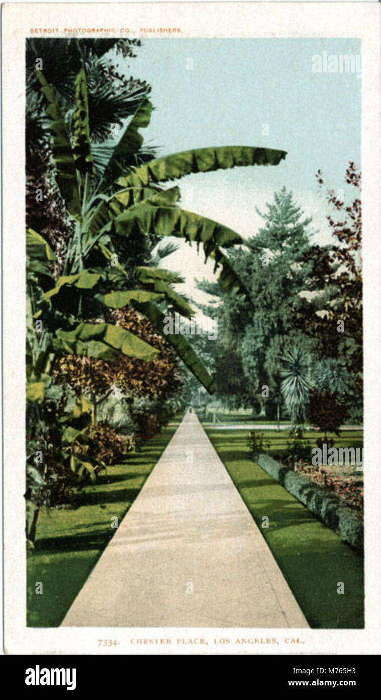 A historical image of Chester Place in Los Angeles, California ...