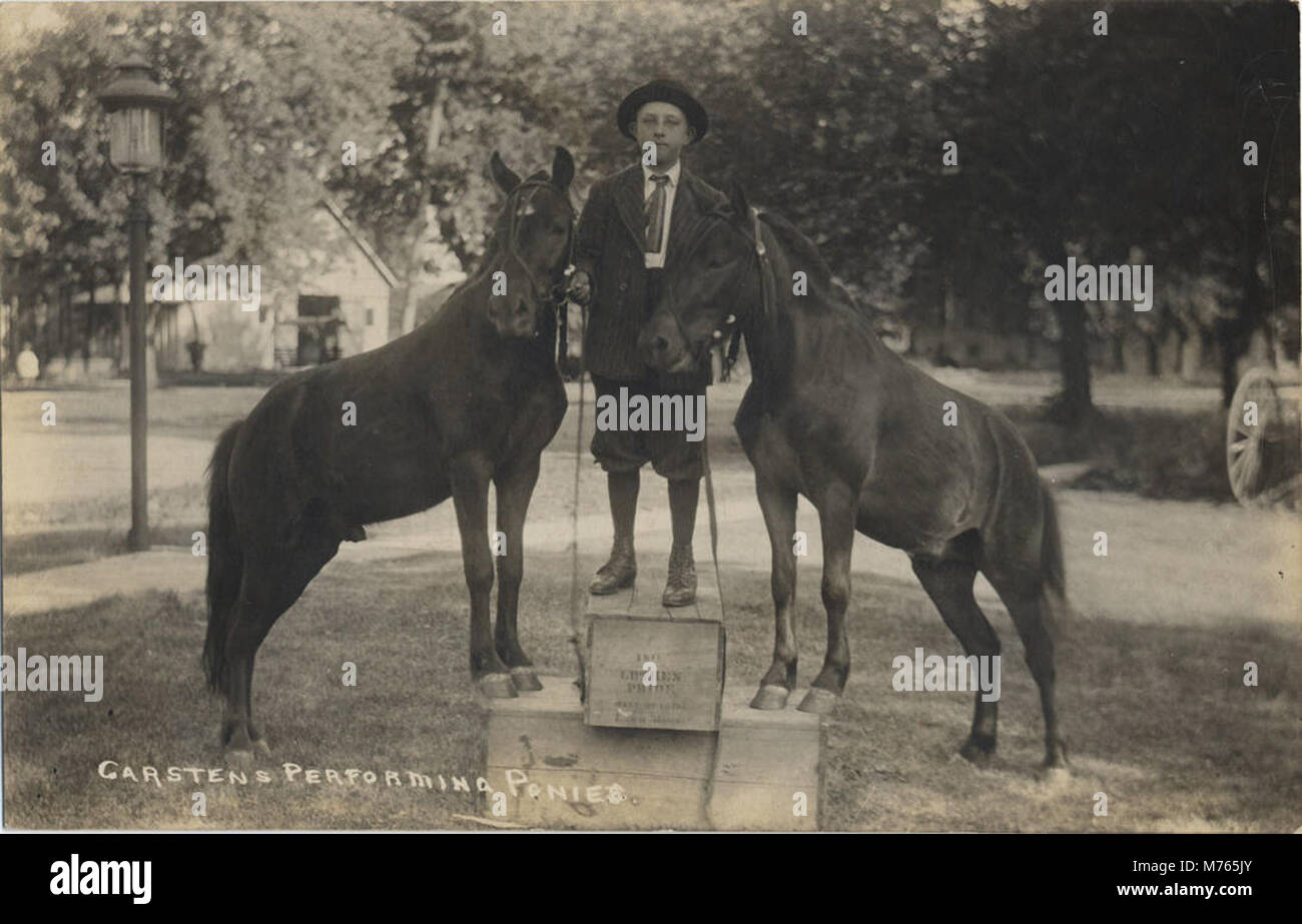 An image showcasing Lot 54 Garsten's Performing Ponies, a collectible ...