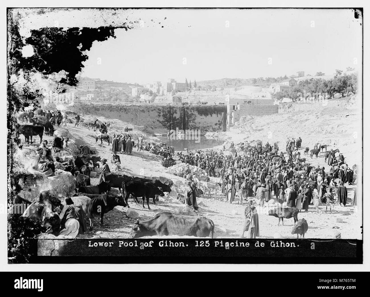 This photograph shows the lower pool of Gihon, an important ...