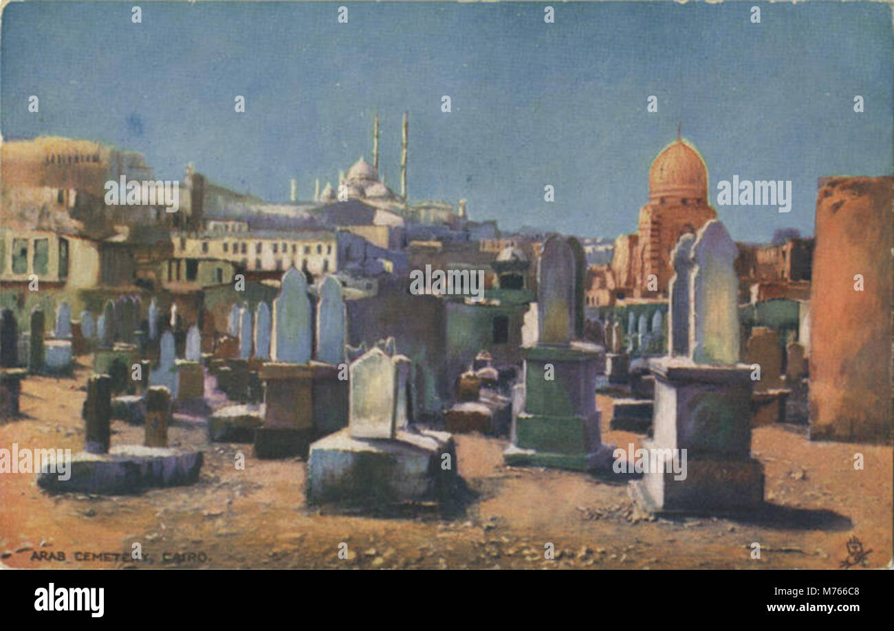 An image of the Arab Cemetery in Cairo, showcasing an important ...