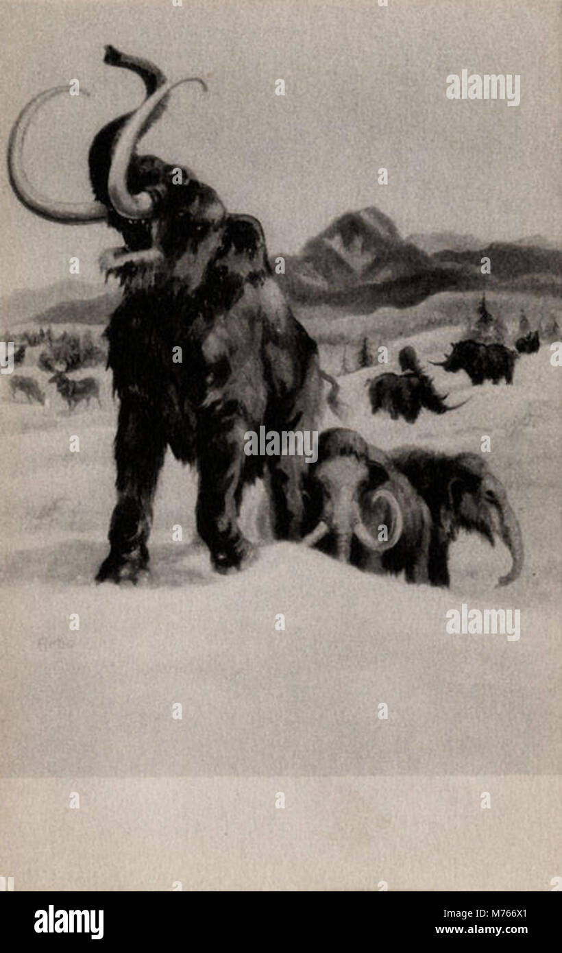 This image showcases a mammoth, possibly from a historical or ...