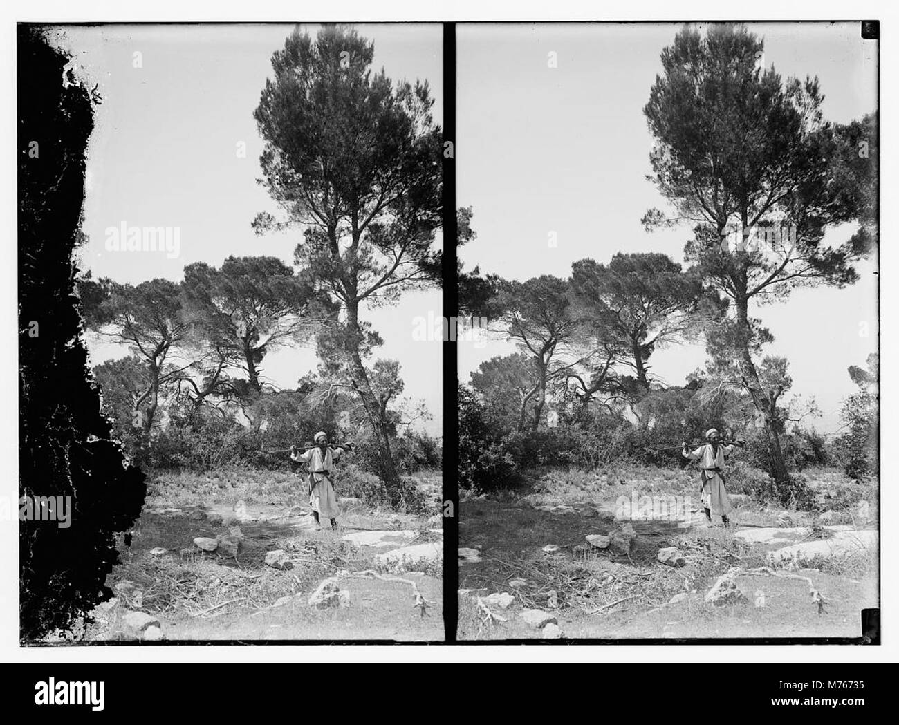 A photograph showing a man standing next to a tree, capturing a serene ...