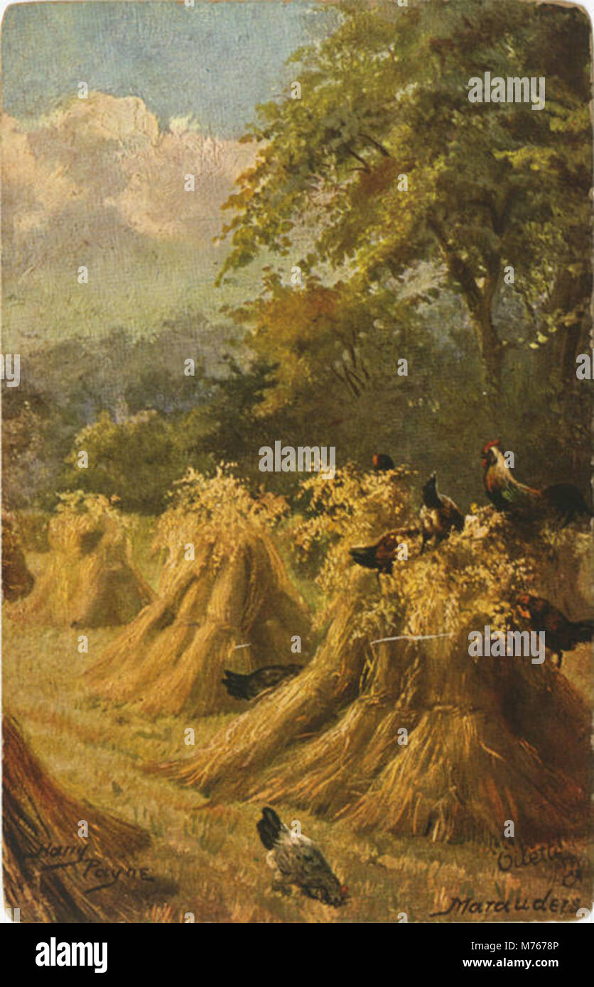 This image features the concept of 'Marauders,' likely illustrating a ...