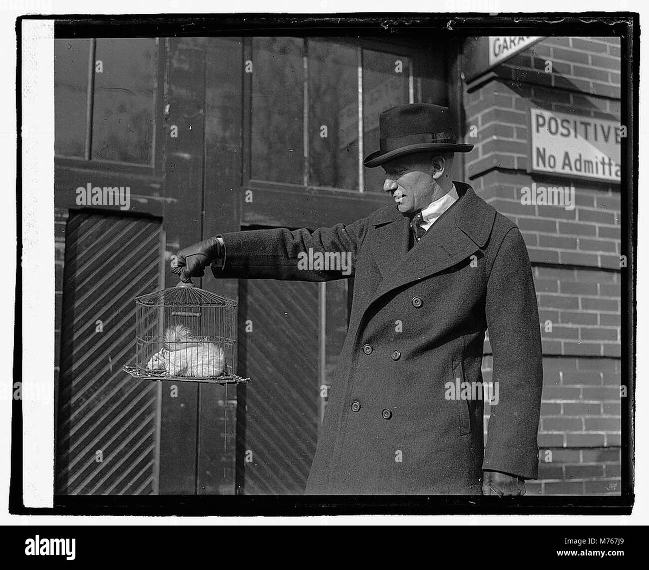 Photo of doe Black and White Stock Photos & Images - Alamy