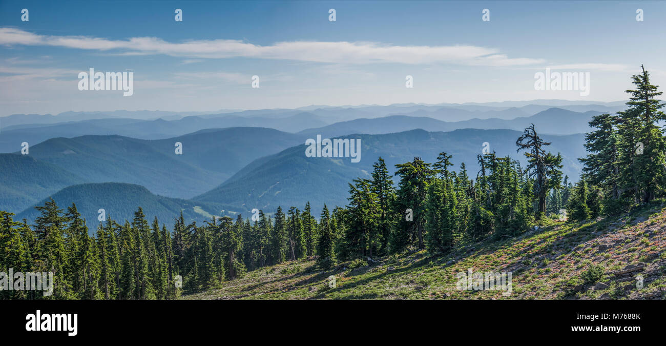 Ridge after ridge of the cascade mountains extending seemingly forever ...