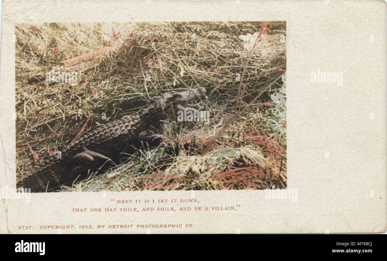 A quote from Shakespeare's 'Hamlet,' captured in visual art, exploring ...