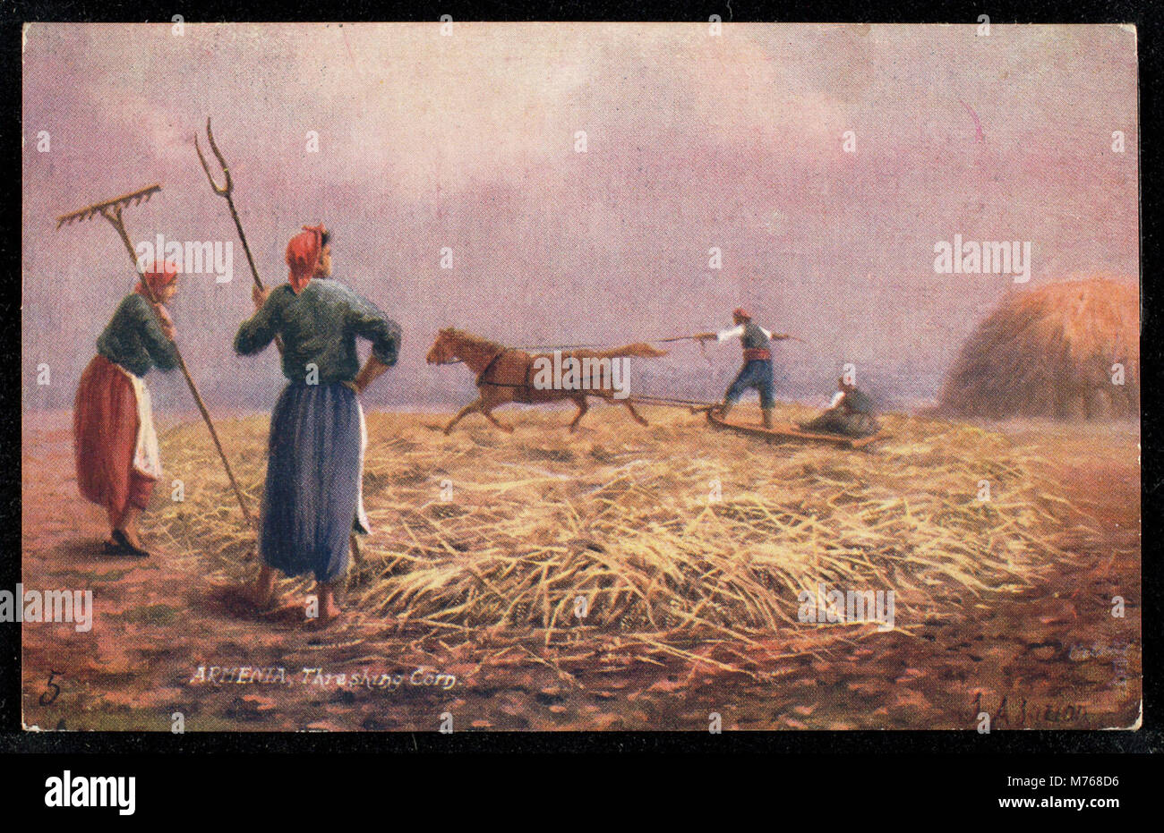 A photograph from Armenia depicting the traditional method of threshing ...