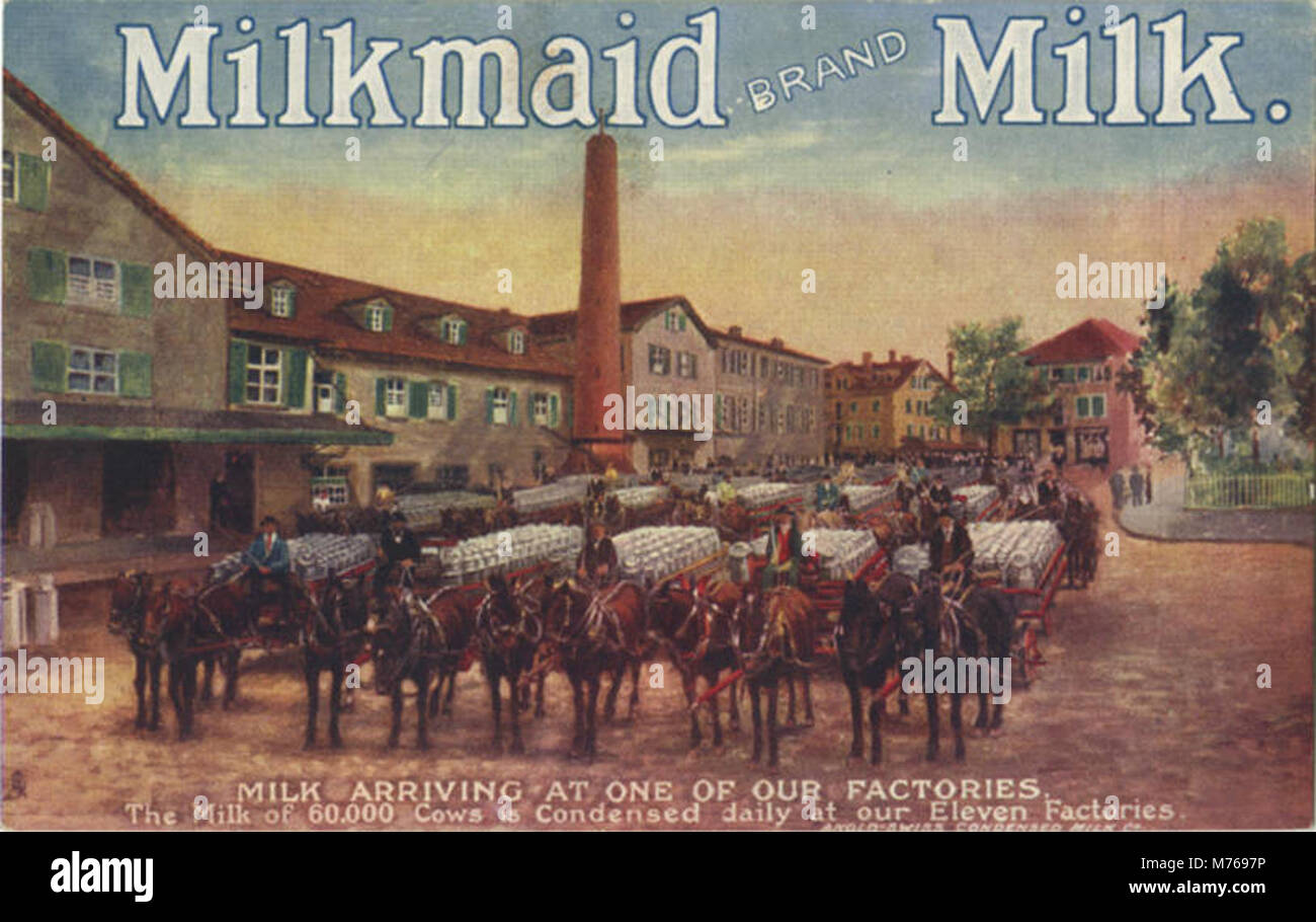 An advertisement for Milkmaid Brand Milk, showcasing the product's ...