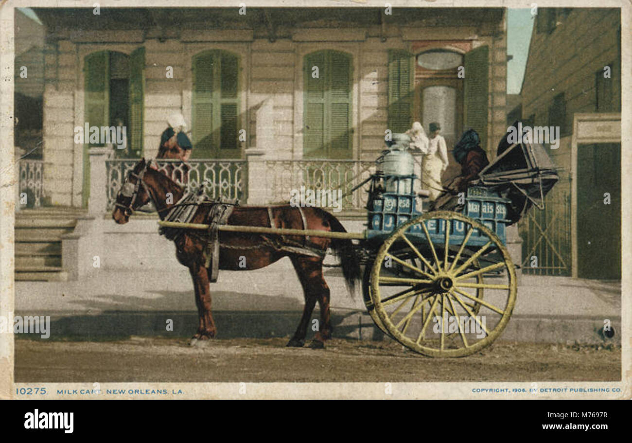 This image depicts an early 20th-century milk cart, a common sight in ...