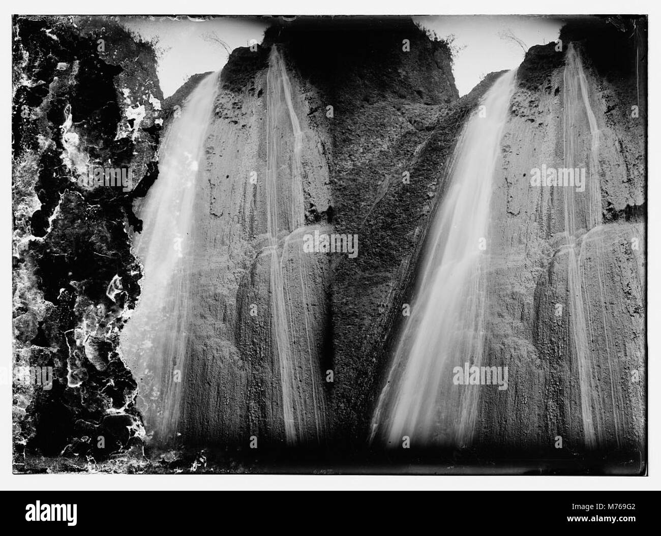 This image features various flora and fauna, showcasing the natural ...