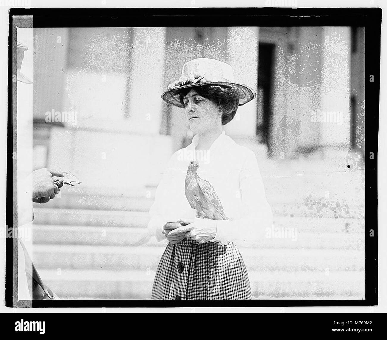 A portrait of Miss Bennett, displayed at the National Museum, offering ...
