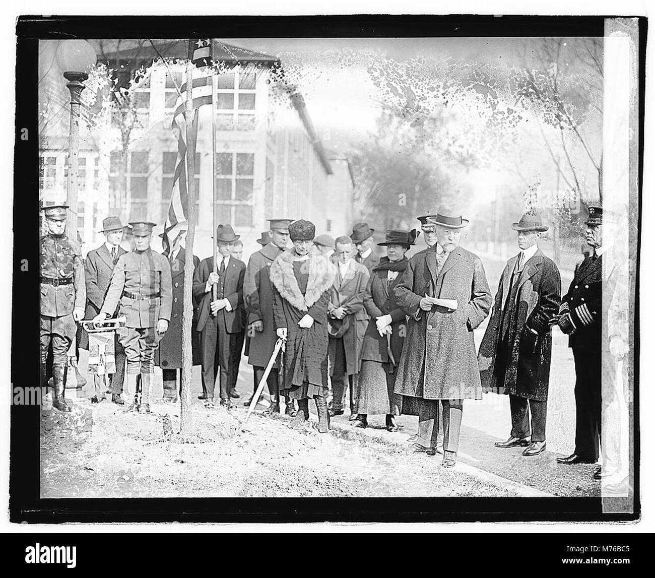 Mrs. Harding is shown planting a tree in this historical photograph ...
