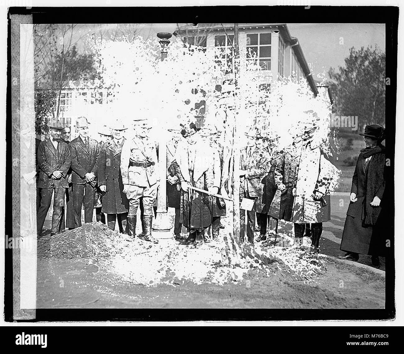 This image shows Mrs. Harding participating in a tree planting event, a ...