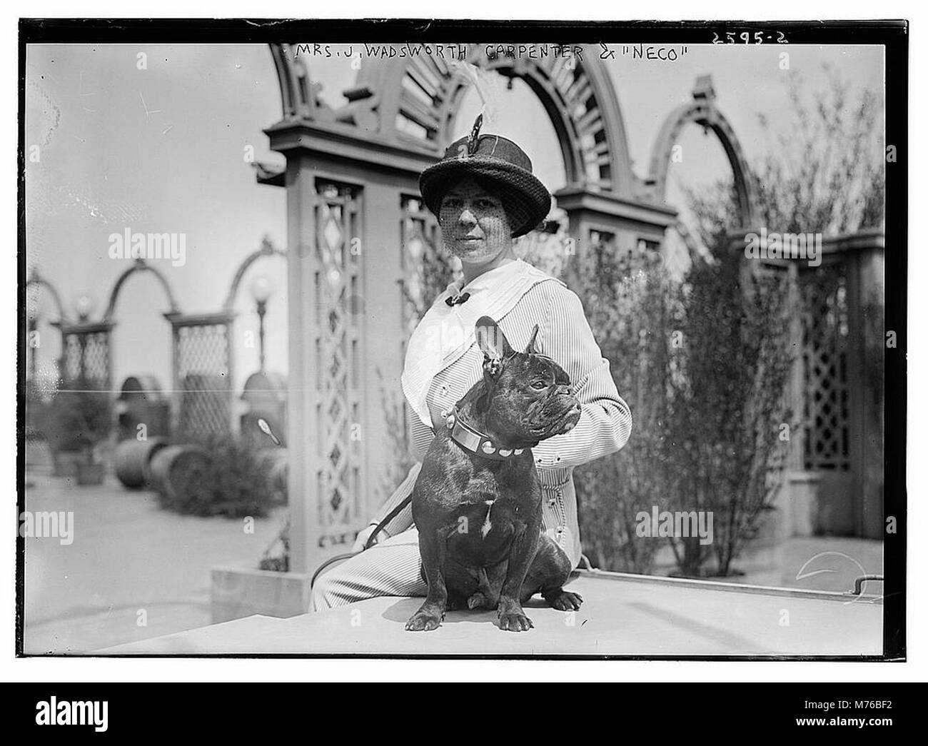 A portrait of Mrs. J. Wadsworth Carpenter alongside her dog, 'Neco ...