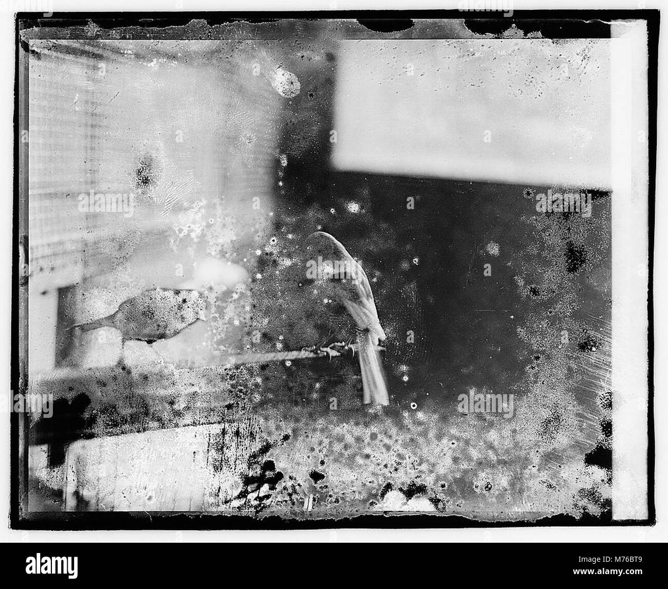 Mrs thompson hi-res stock photography and images - Alamy