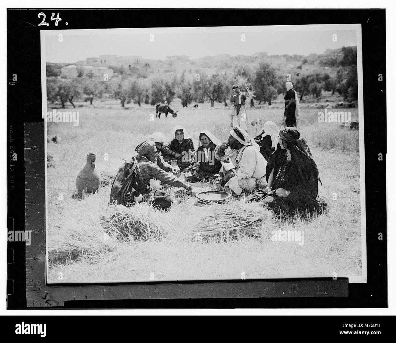 A visual representation from the story of 'Ruth,' likely based on the ...