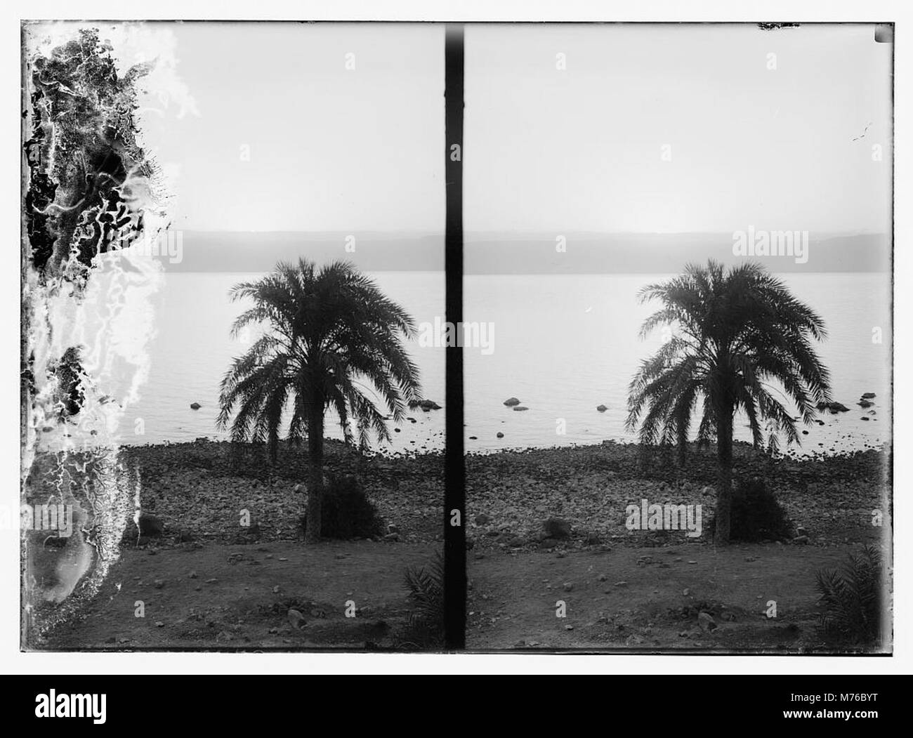 A photograph of Mount Gerizim, a significant location in the Bible and ...