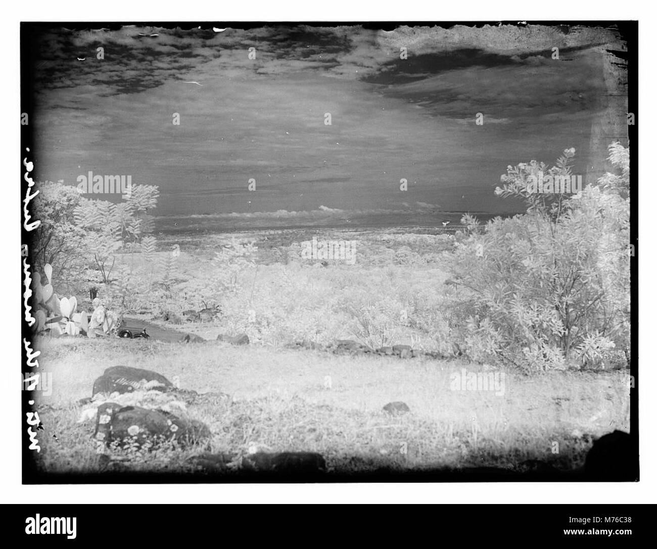 How high the moon Cut Out Stock Images & Pictures - Alamy