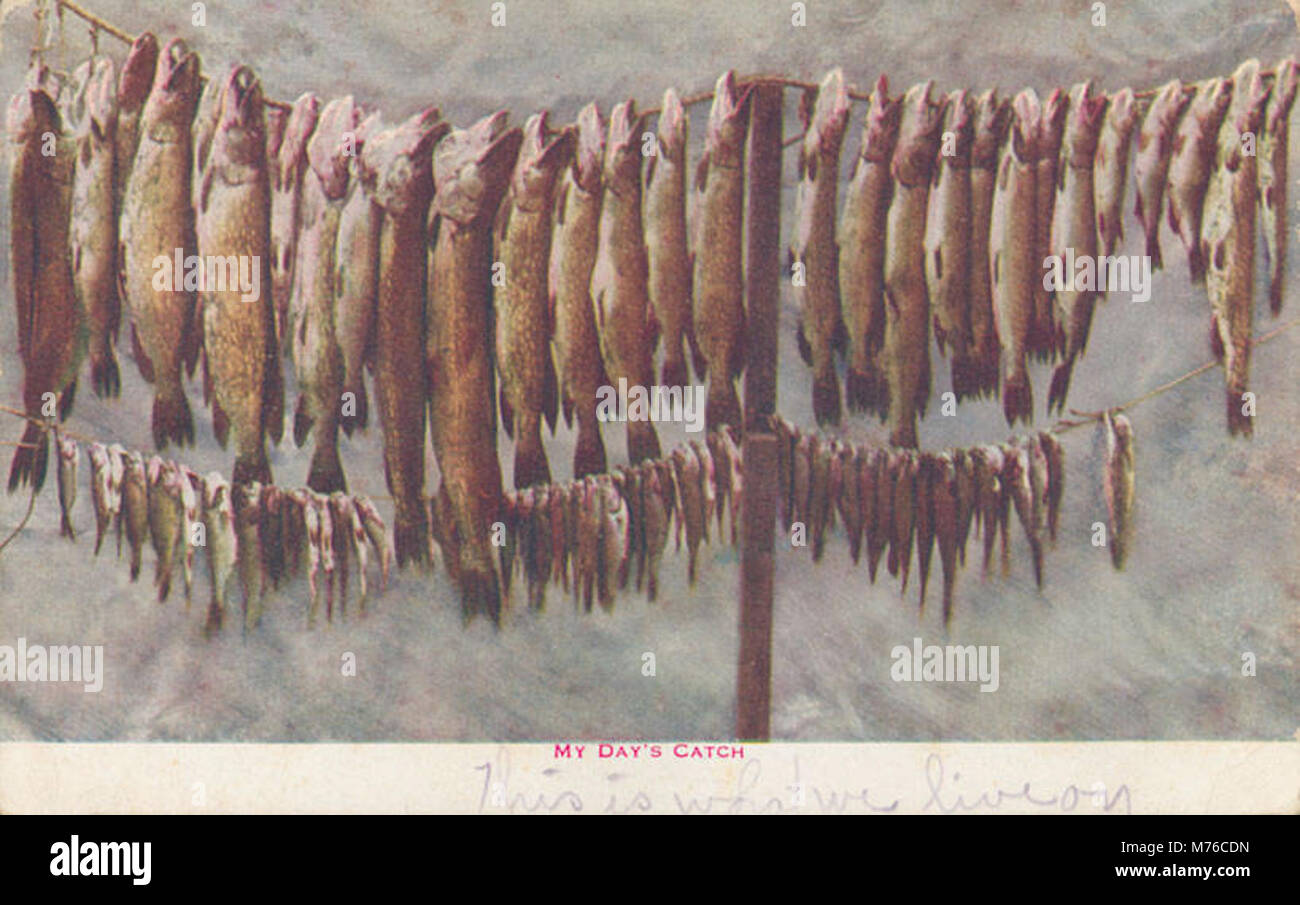 A scene capturing a fisherman’s daily catch. The image depicts the fish ...