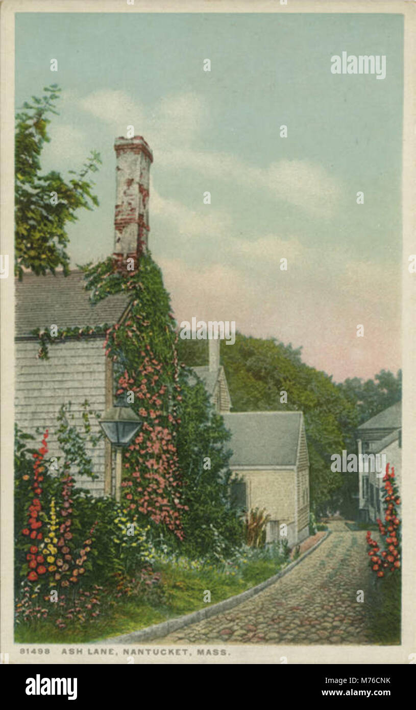 Ash Lane is depicted in this photograph, showcasing a rural road in an ...