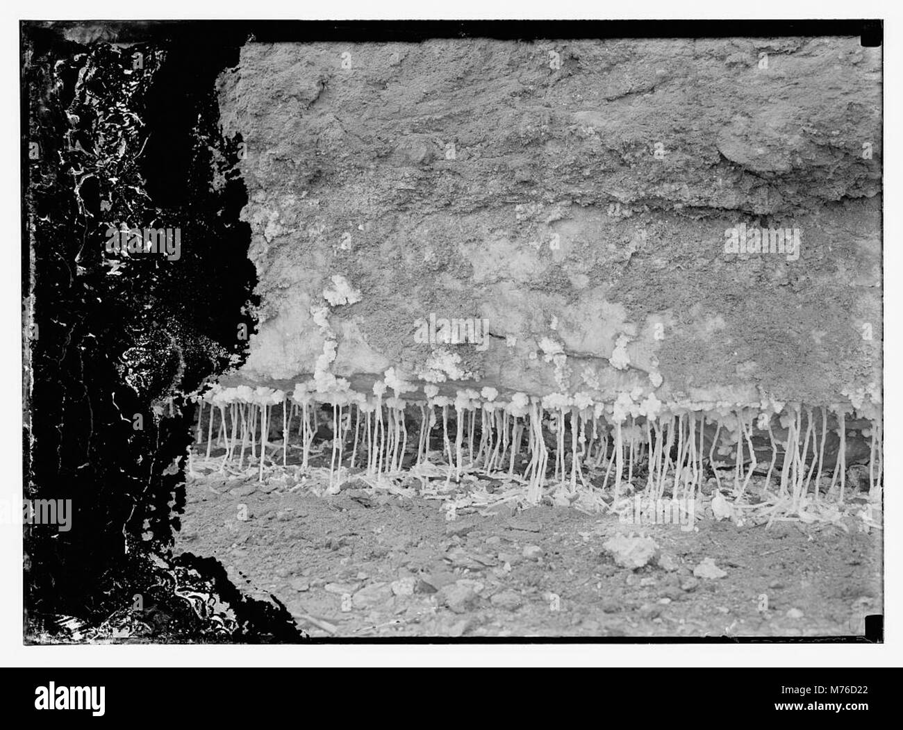 A photograph taken near the Dead Sea, highlighting the arid landscape ...