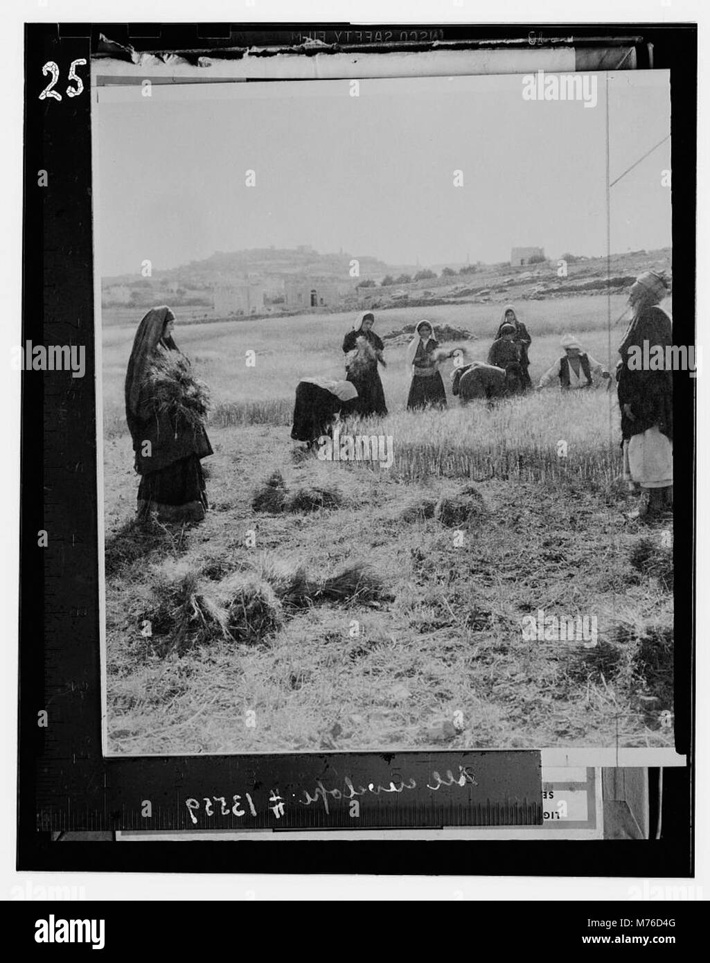 The 'Ruth' story portrays a significant cultural and personal narrative ...