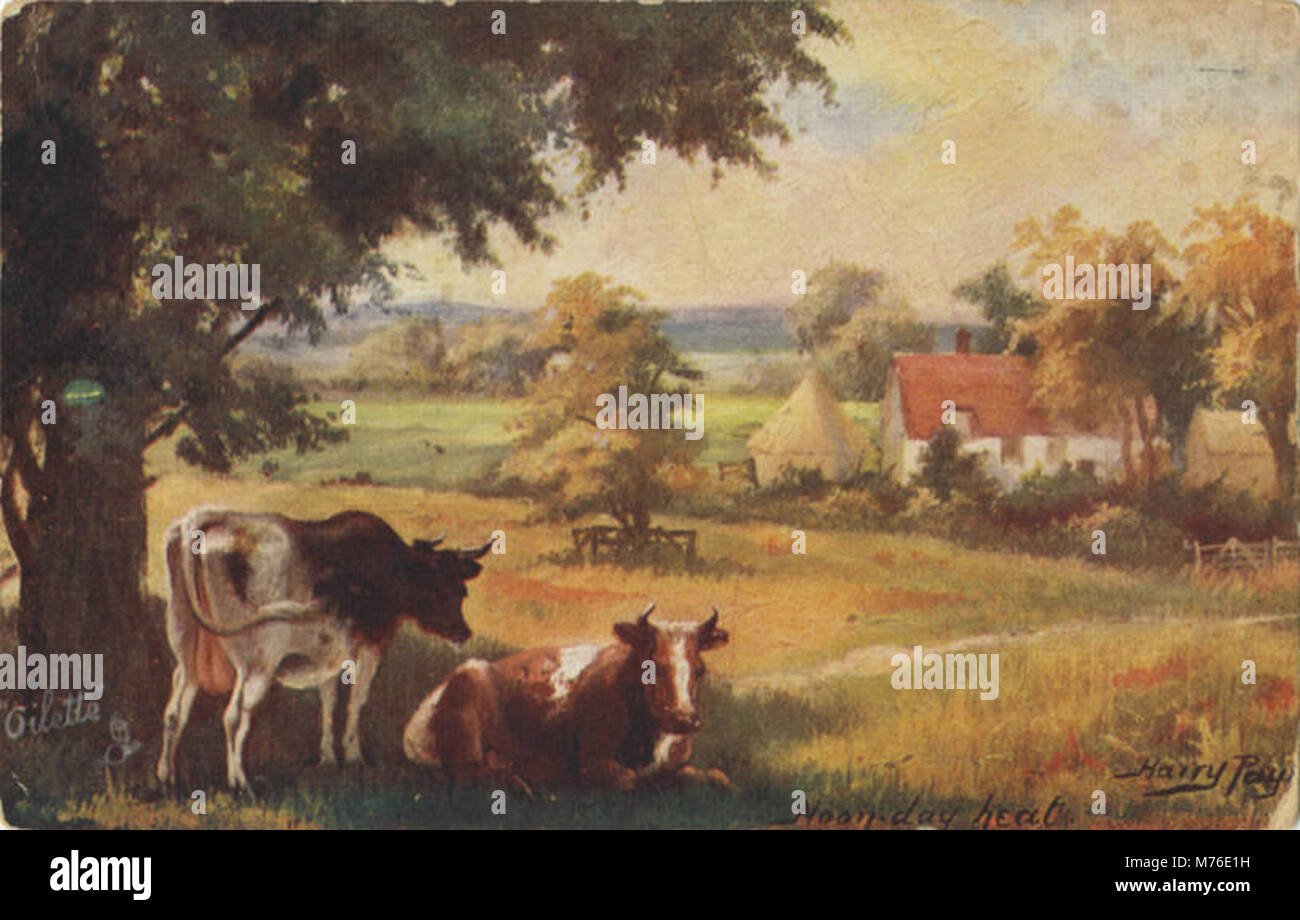 The photograph captures a scene during the intense heat of noon ...