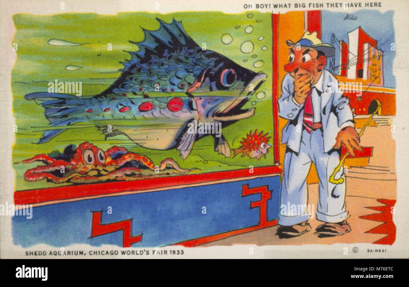 Visitors view displays during hi-res stock photography and images - Alamy