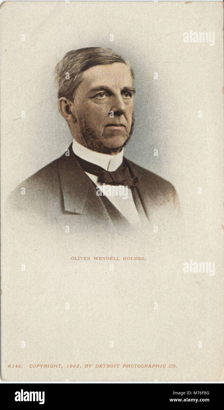 This portrait features Oliver Wendell Holmes, Jr., an influential ...