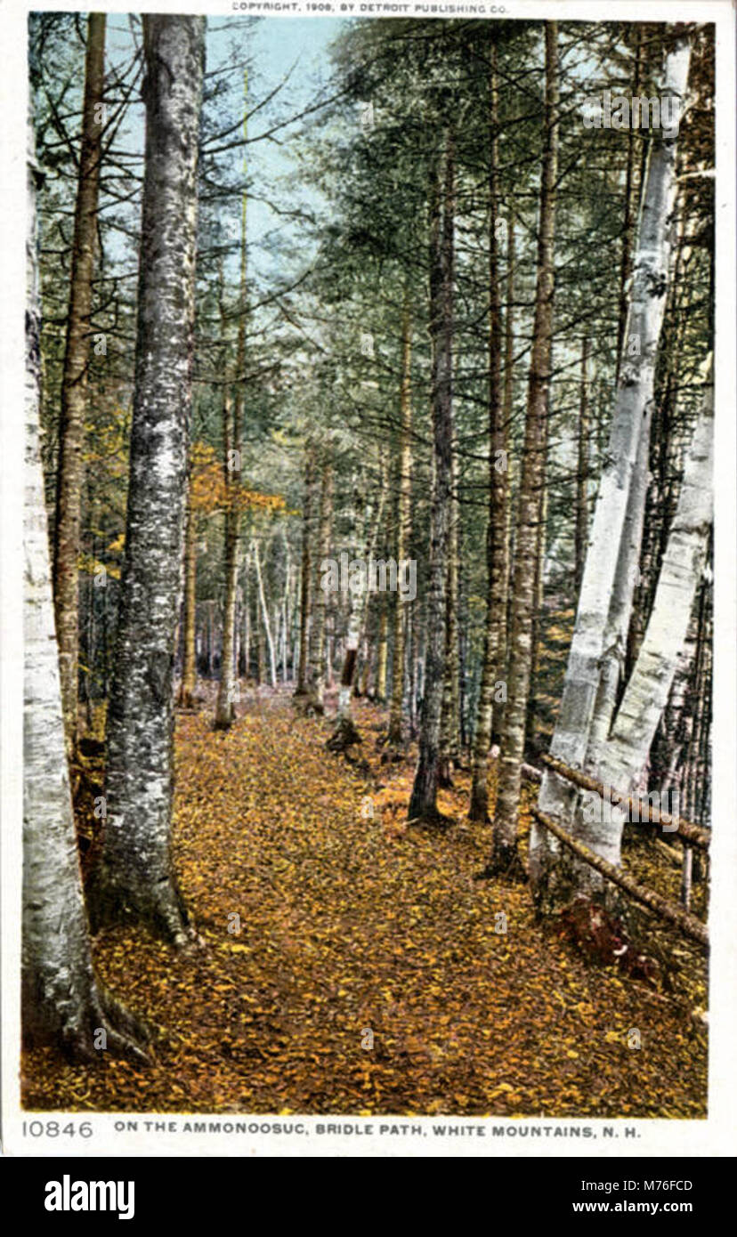 Historic bridle path hi-res stock photography and images - Alamy