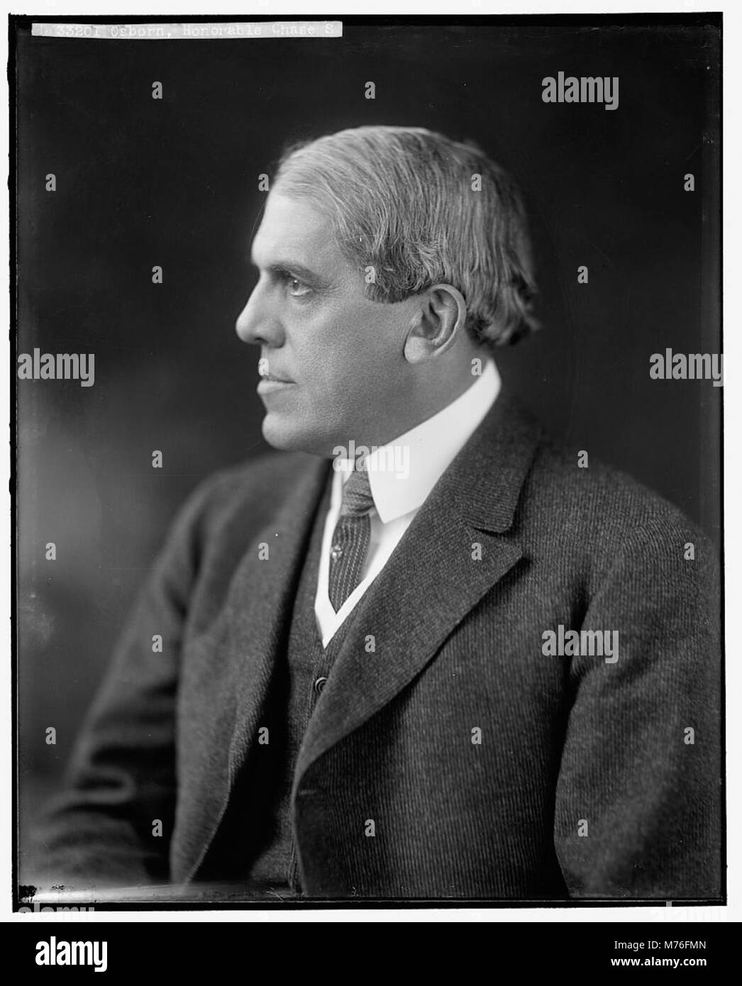 A formal portrait of Honorable Chase S. Osborn, a political figure ...