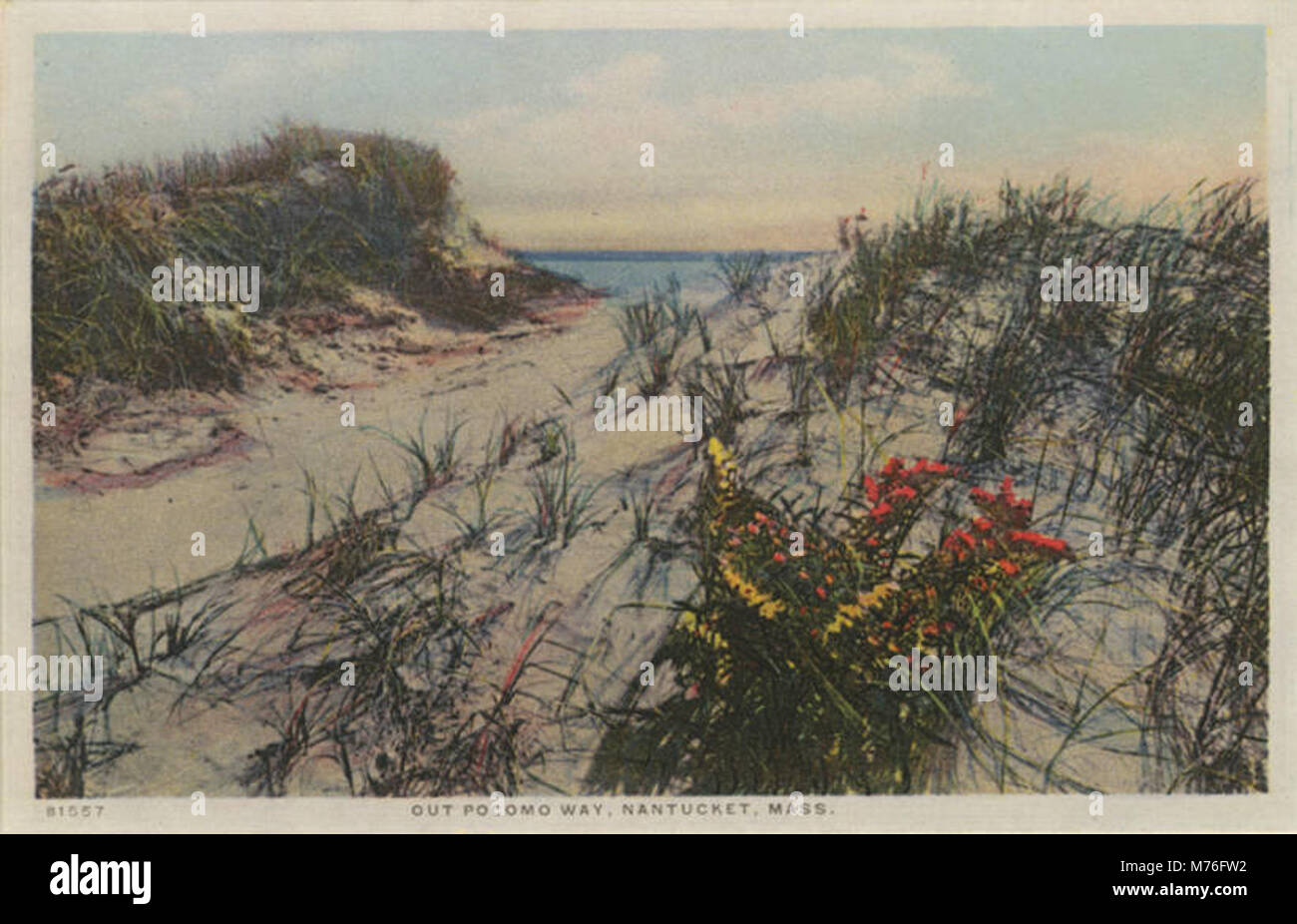 Image titled 'Out Pocomo Way,' possibly referencing a location or ...