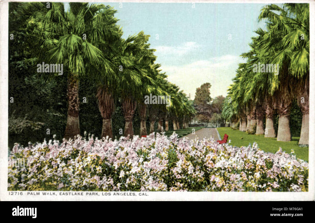 A photograph of Palm Walk in Eastland Park, showcasing a pathway lined ...