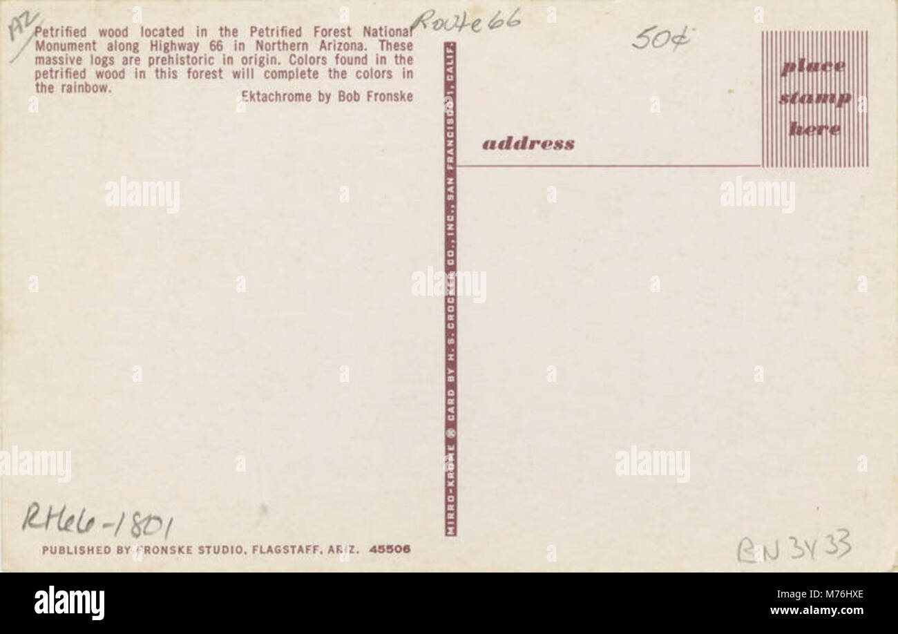 Permineralized fossils hi-res stock photography and images - Alamy