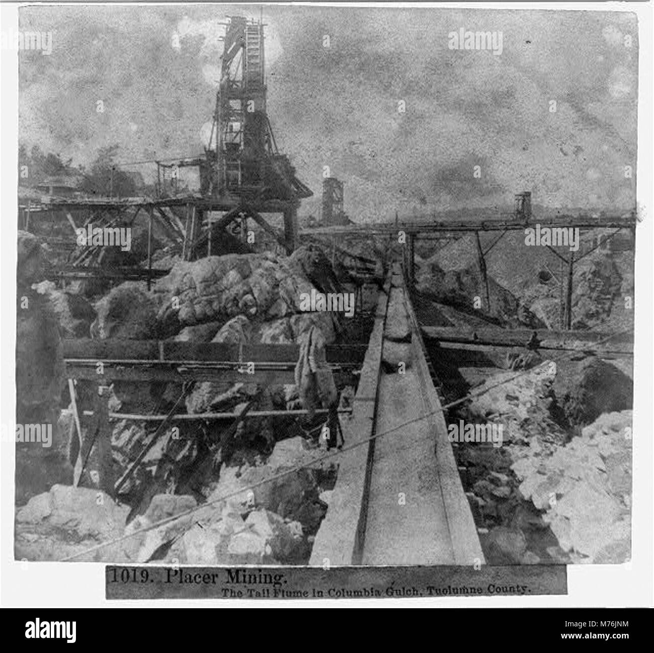 This photograph depicts placer mining in Columbia Gulch, Tuolumne ...