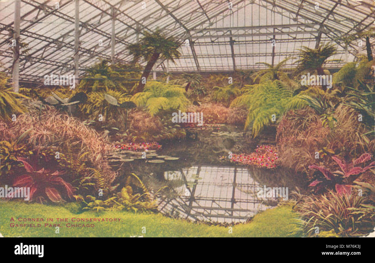 This image depicts a corner of the conservatory in Garfield Park ...