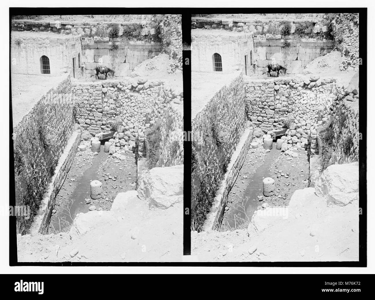 A photograph of the Pool of Siloam, located at the northern end ...