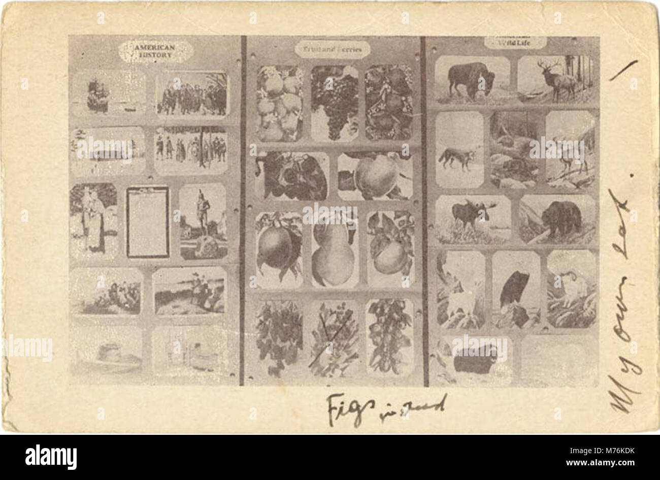 Postcard featuring a collage of themed postcards showing scenes from ...