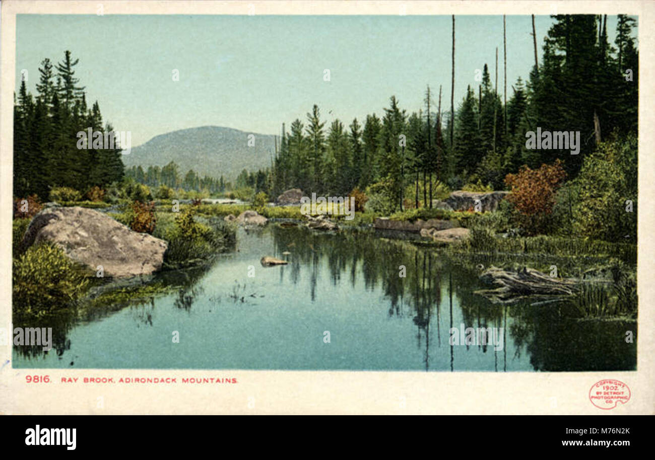 Ray Brook (NBY 169 Stock Photo - Alamy