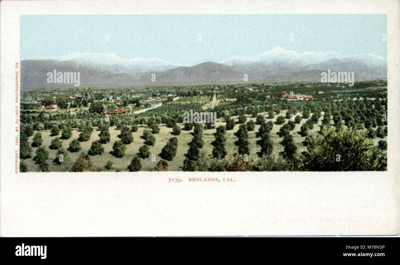 A vintage photograph of Redlands, California, showcasing the town's ...