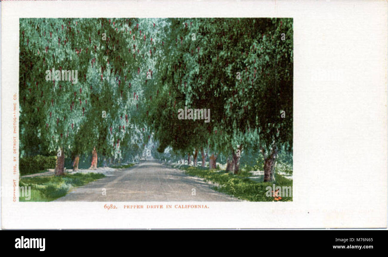 Pepper Drive in Redlands, California, is a residential street known for ...