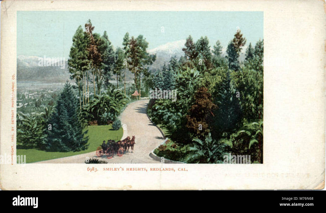 A vintage photograph of Smiley's Heights in Redlands, California ...