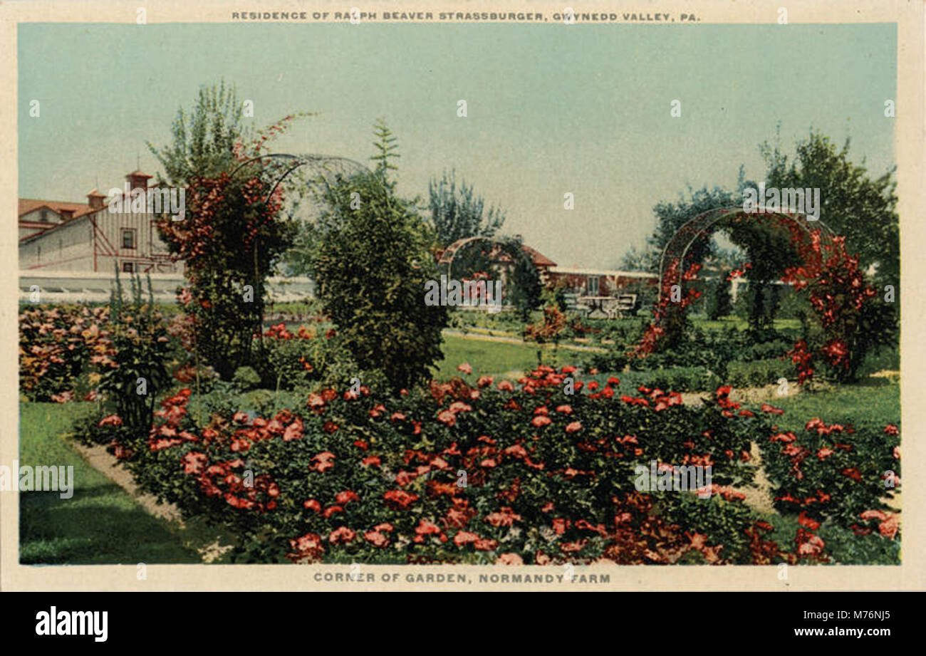 A photograph showcasing the residence of Ralph Beaver Strassburger ...