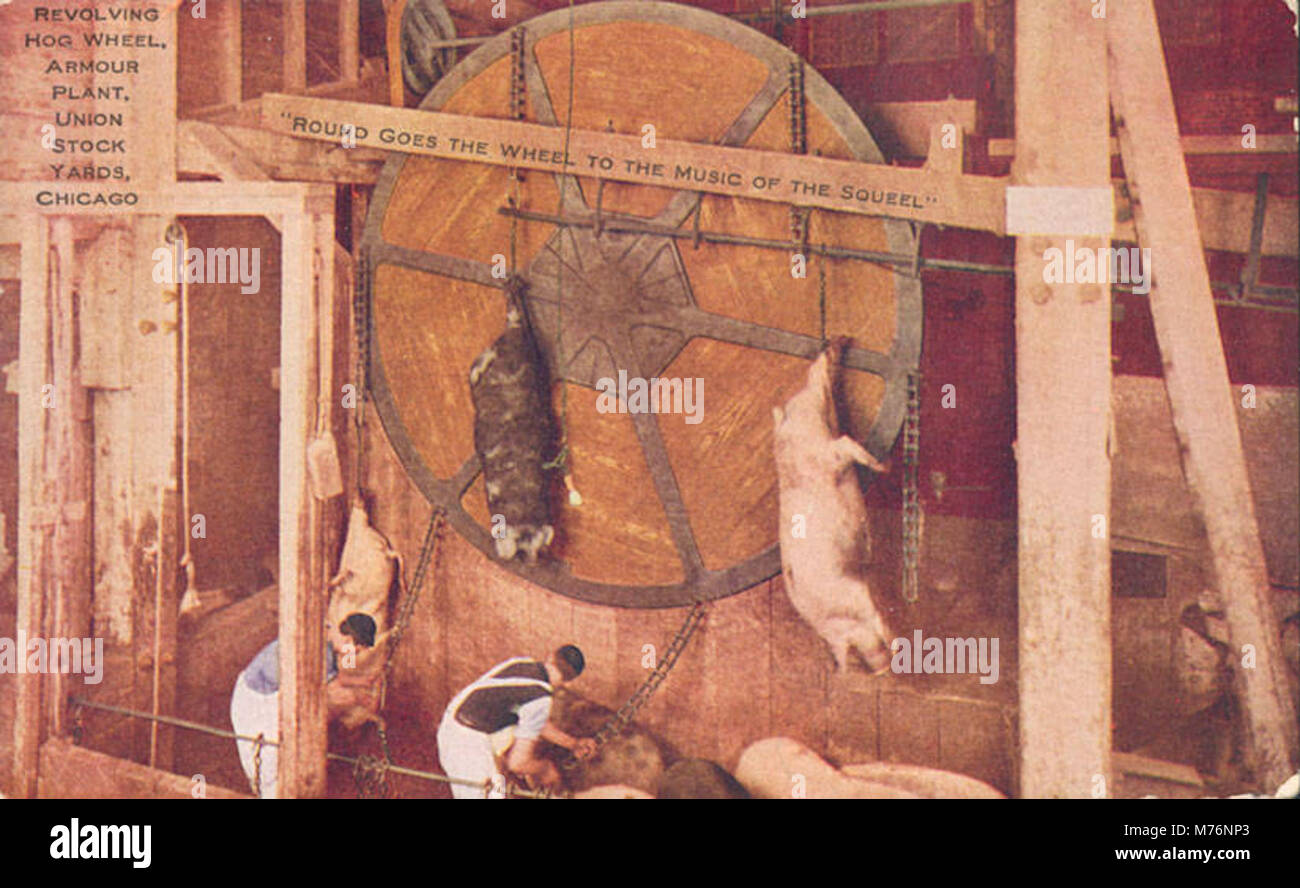 Photograph of the revolving hog wheel at the Armour Plant in the Union ...